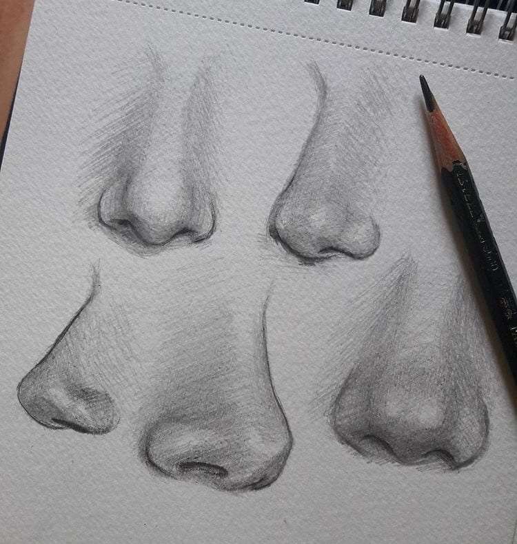 10 Amazing Nose Drawing Tutorials Ideas Brighter Craft