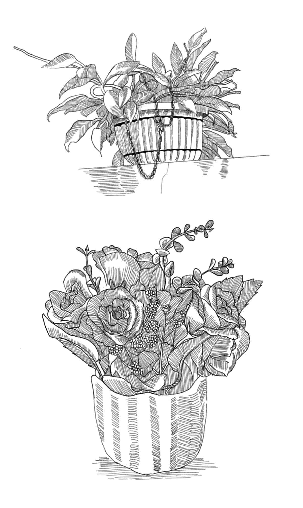 15 Amazing Plant & Leaf Drawing Ideas - Brighter Craft