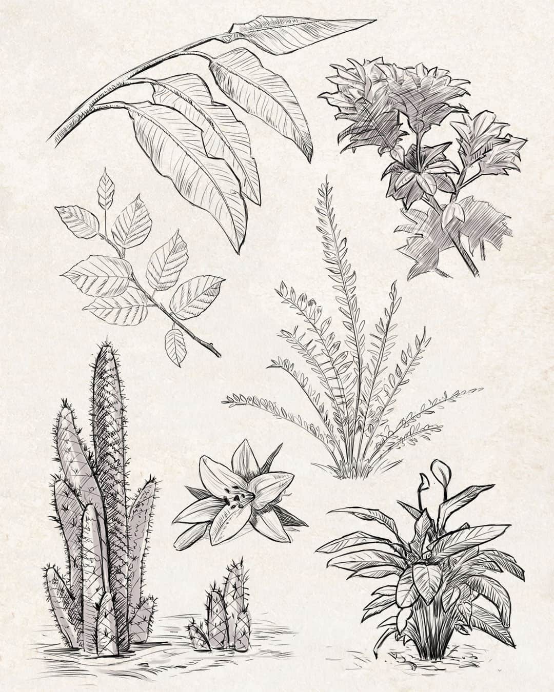 15 Amazing Plant & Leaf Drawing Ideas - Brighter Craft
