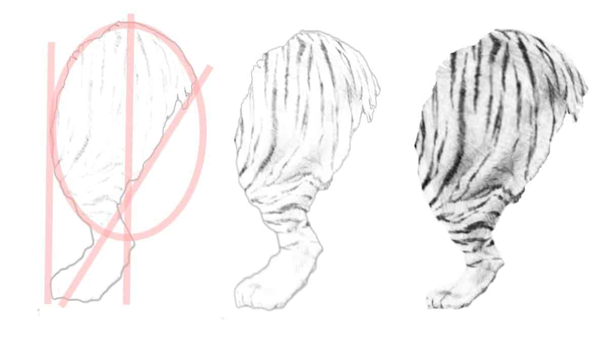 Easy Tiger Drawing Step By Step Tutorial - Brighter Craft