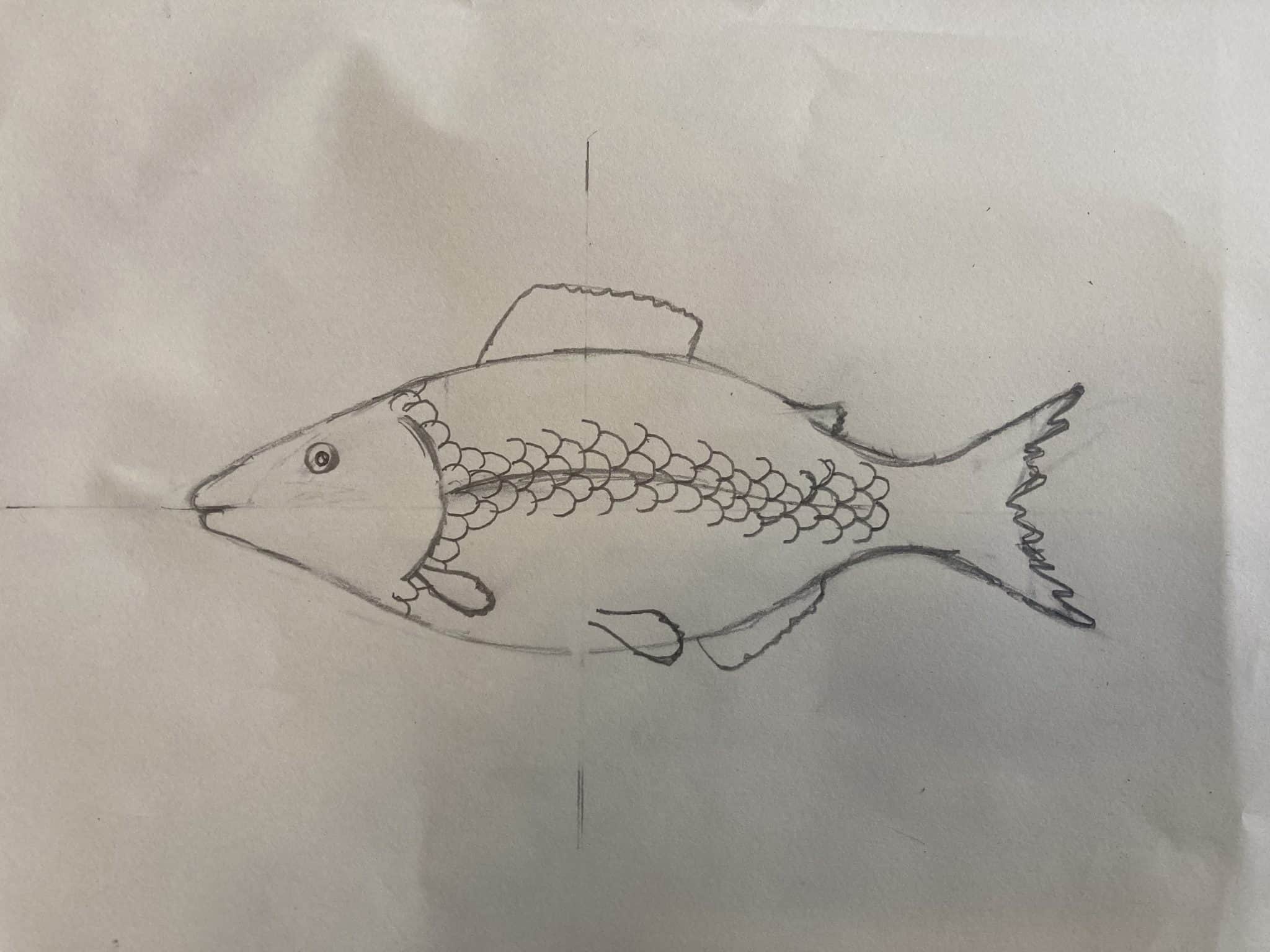 How To Draw a Fish In 11 Easy Steps - Brighter Craft