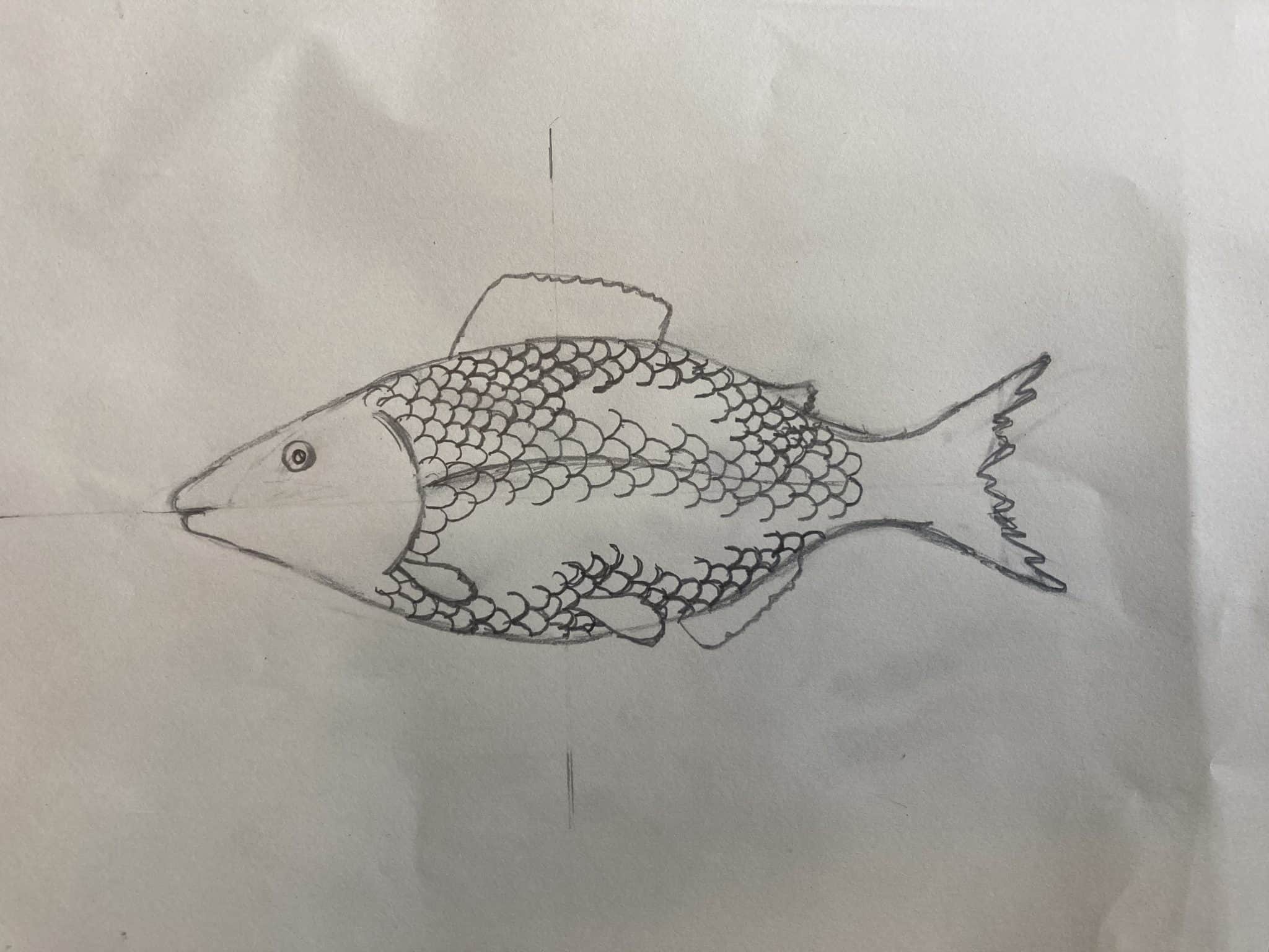 How To Draw a Fish In 11 Easy Steps - Brighter Craft