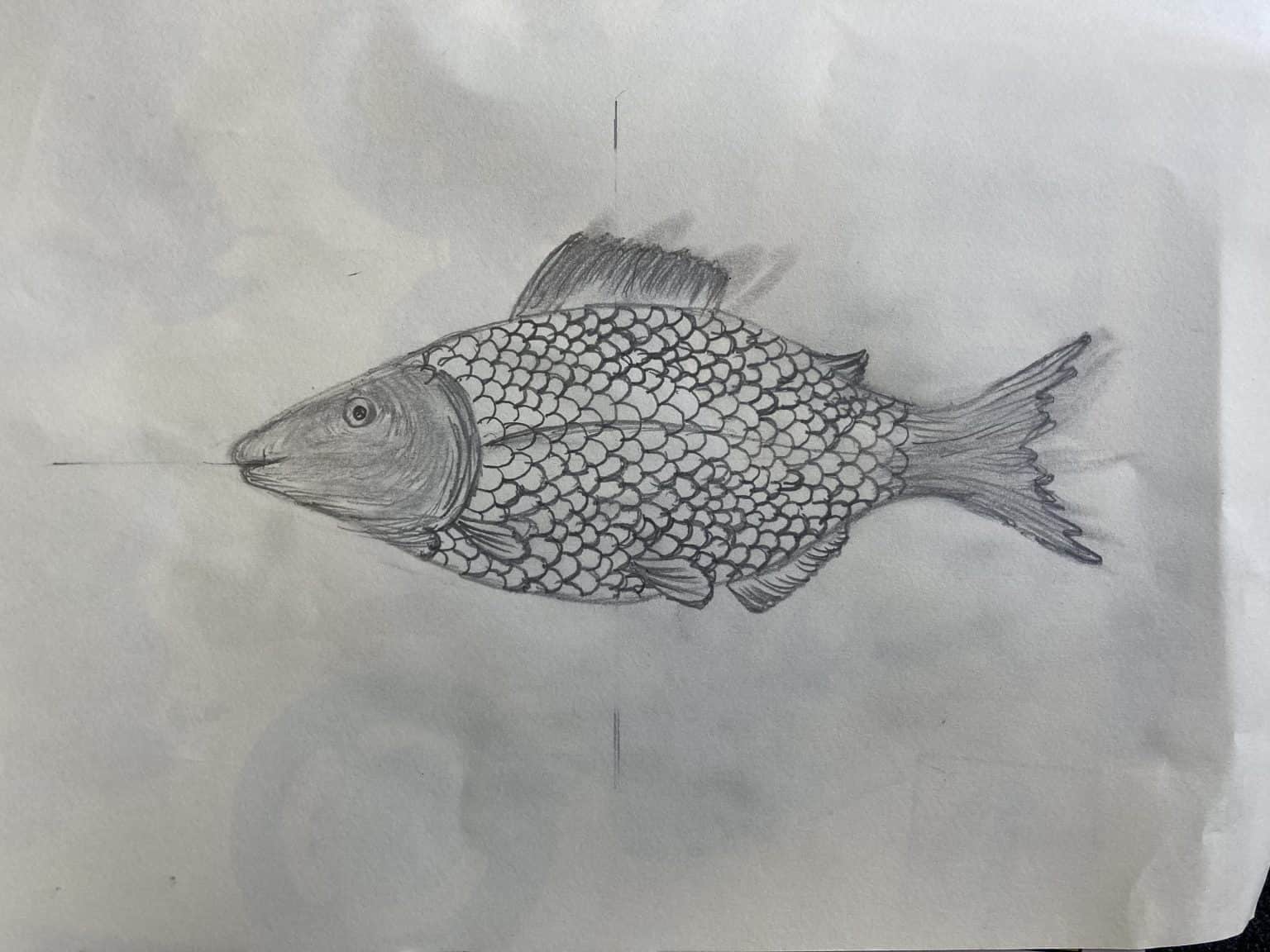 How To Draw a Fish In 11 Easy Steps - Brighter Craft