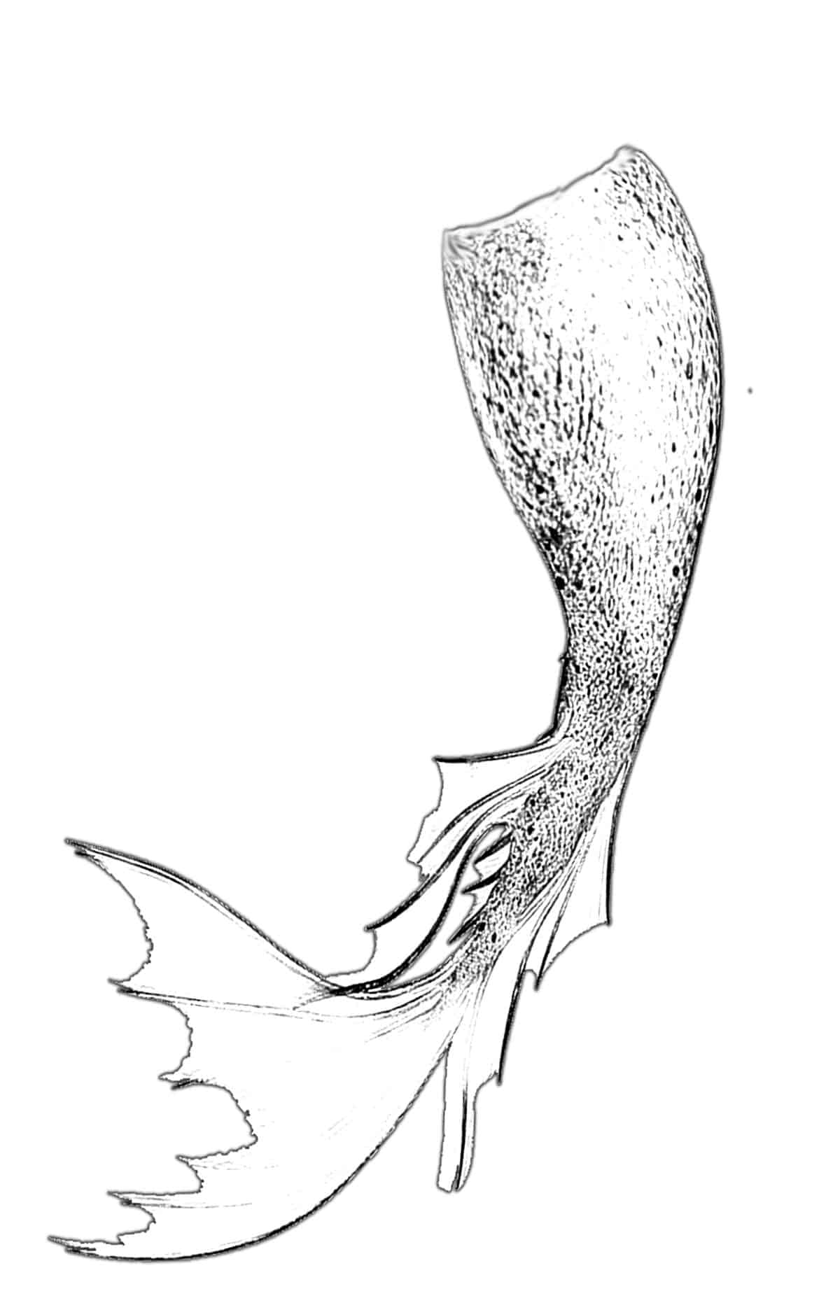 Easy Step by Step Mermaid Drawing Tutorial - Brighter Craft