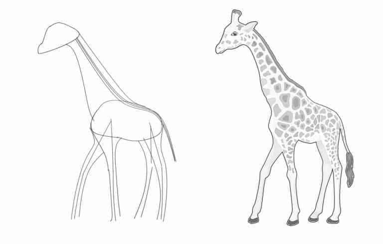 How To Draw - 5 Simple Drawing Exercises For Beginners - Brighter Craft