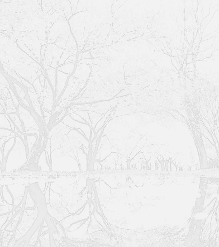 How to Paint and Draw Landscapes: A Comprehensive Guide - Brighter Craft