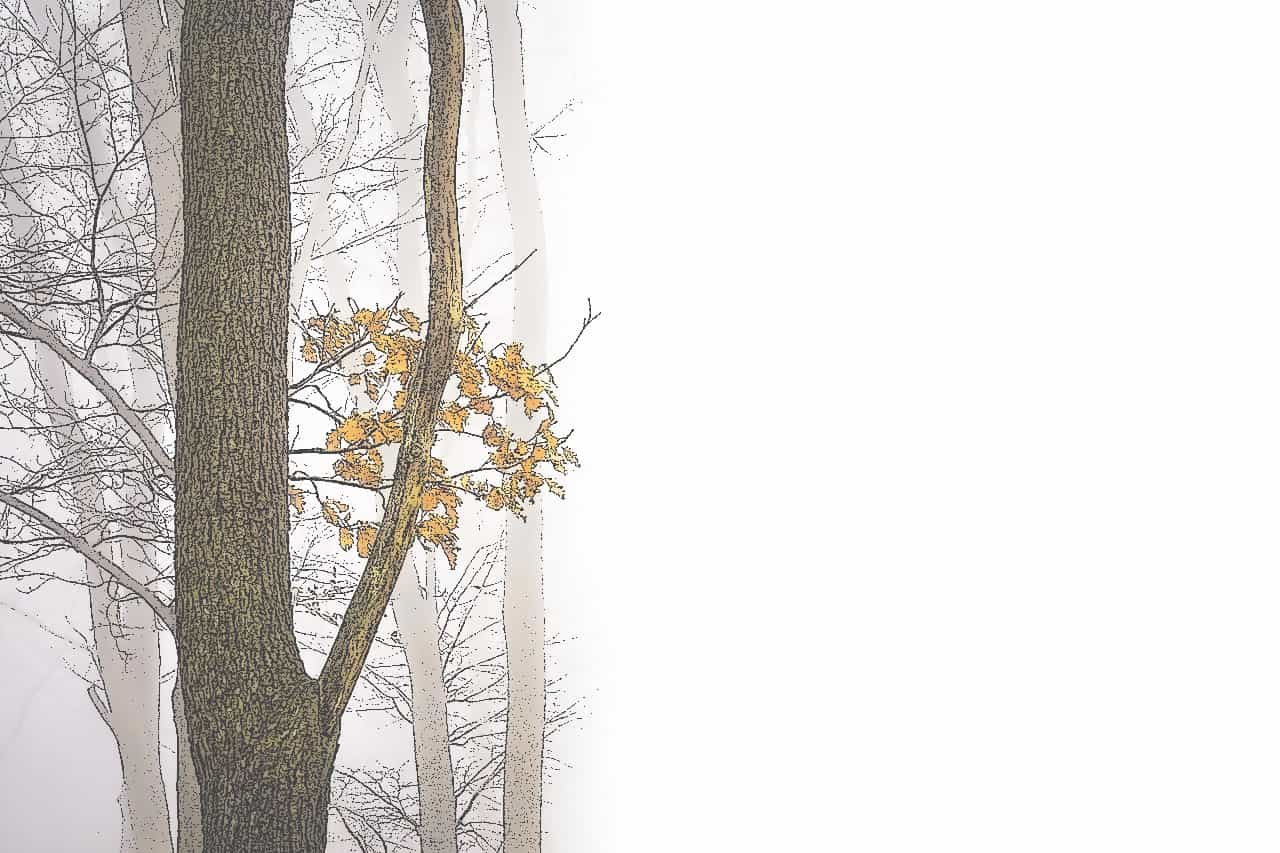 What is Negative Space in Art: A Beginner's Guide - Brighter Craft