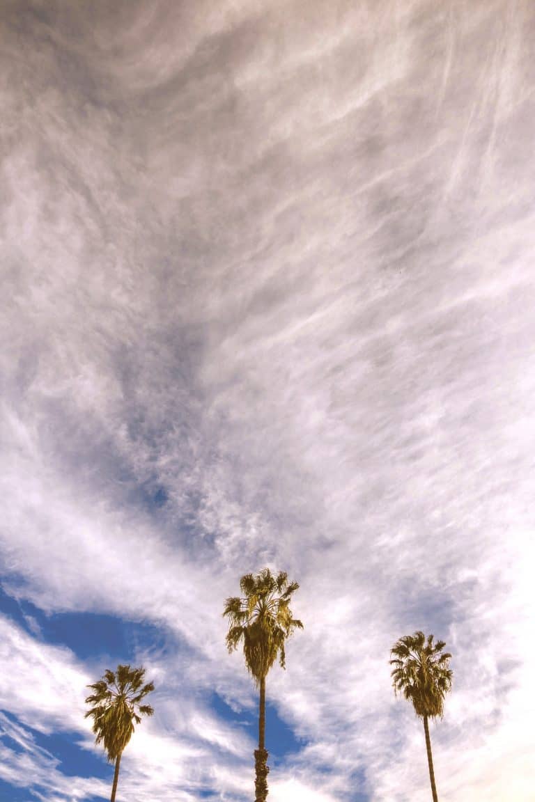 What is Negative Space in Art: A Beginner's Guide - Brighter Craft