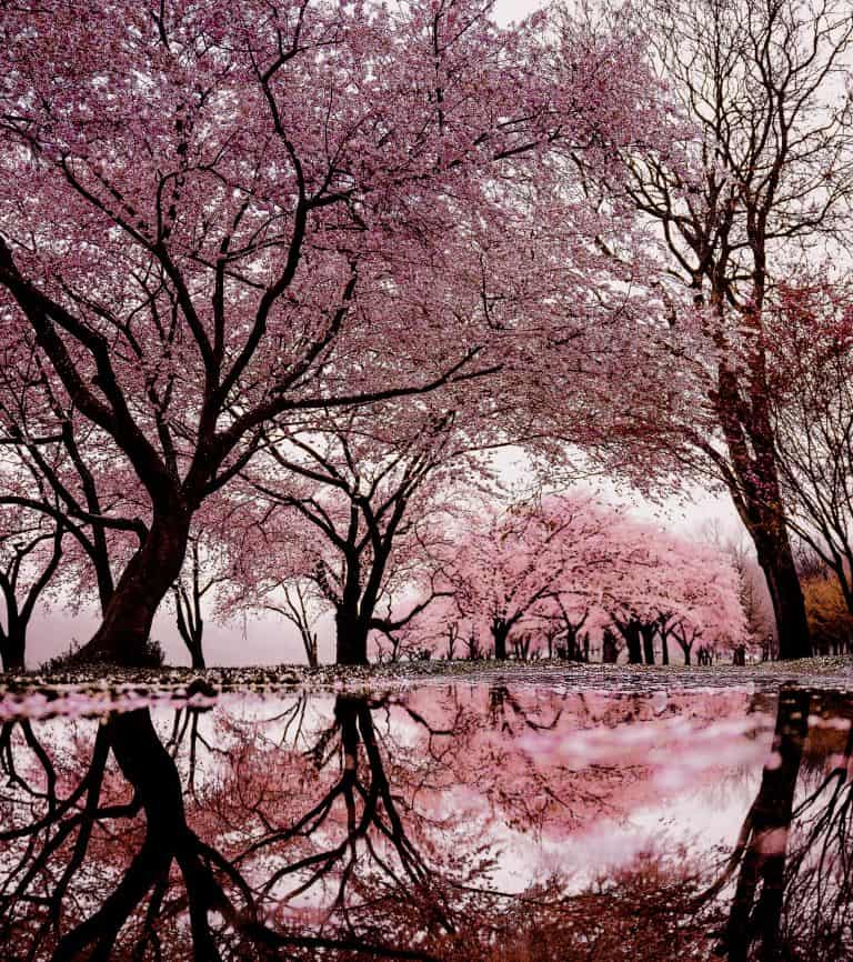 How to Paint and Draw Landscapes: A Comprehensive Guide - Brighter Craft