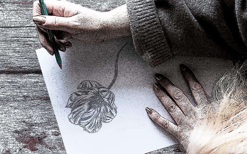 Still Life Drawing – Tips and Techniques - Brighter Craft