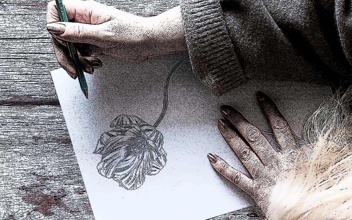 Still Life Drawing – Tips and Techniques - Brighter Craft