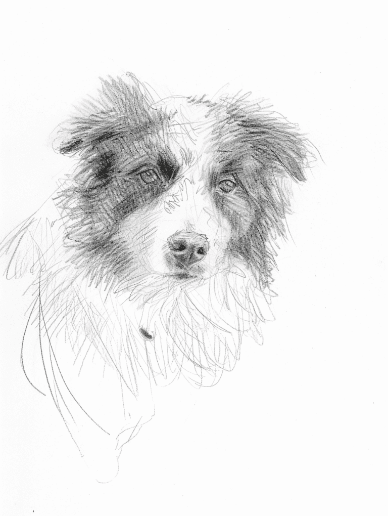 35 Realistic Dog Drawing Ideas and Tutorials for All Skill Levels ...