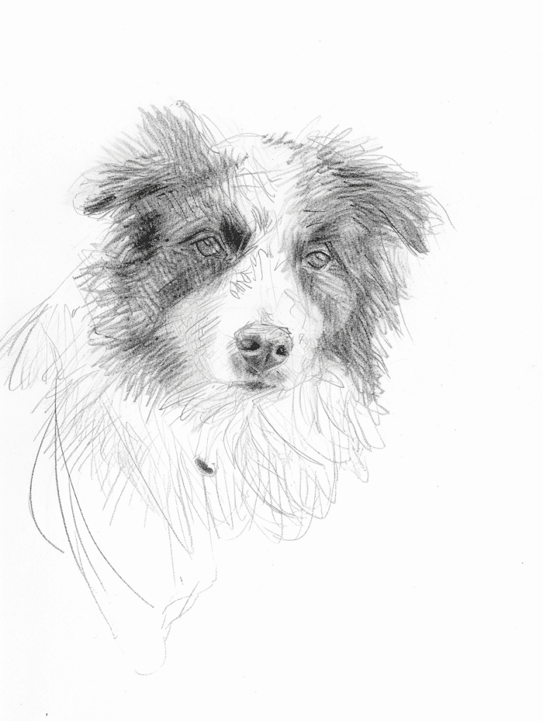 35 Realistic Dog Drawing Ideas and Tutorials for All Skill Levels ...
