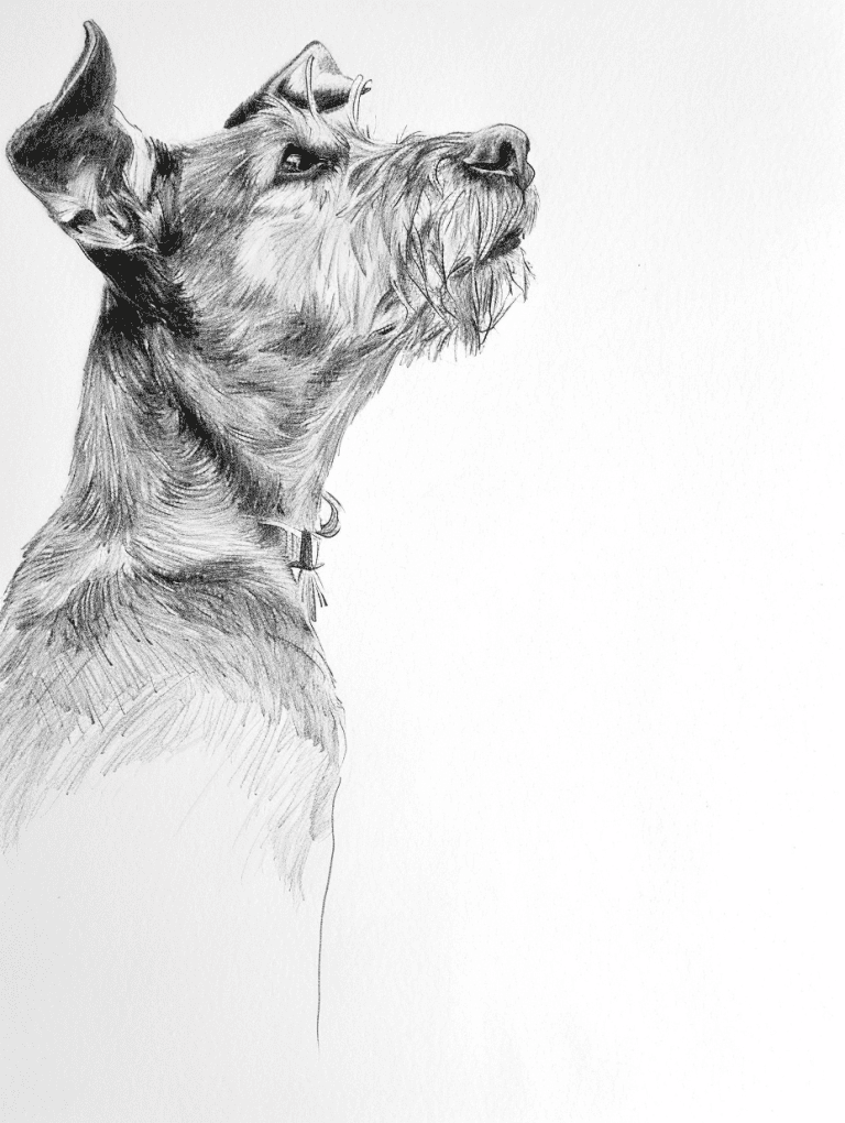 35 Realistic Dog Drawing Ideas and Tutorials for All Skill Levels ...