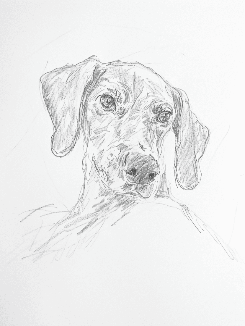 35 Realistic Dog Drawing Ideas and Tutorials for All Skill Levels ...