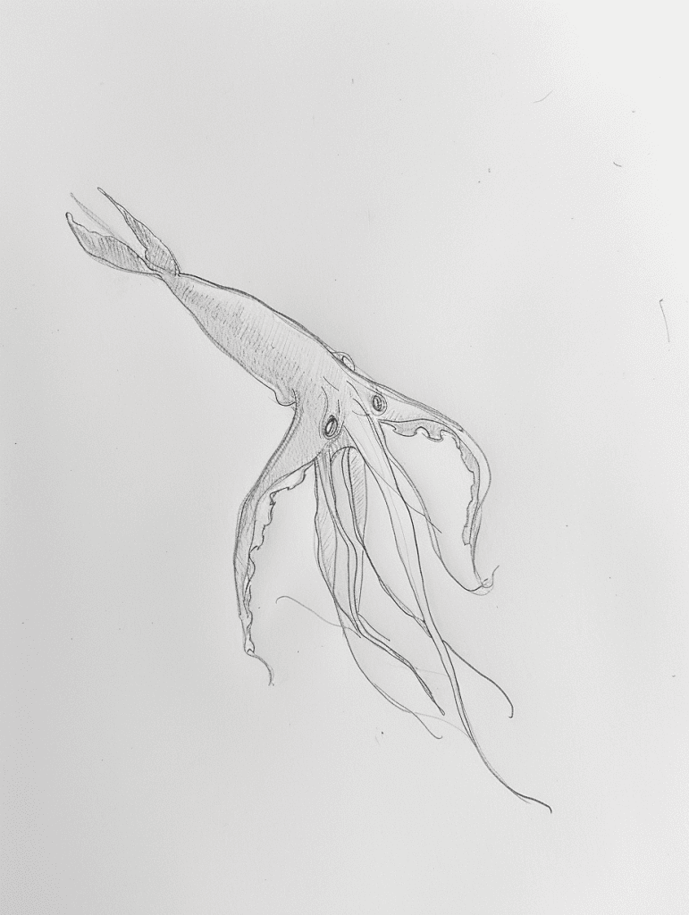 15 Realistic Marine Life Drawing Ideas and Tutorials for All Skill ...