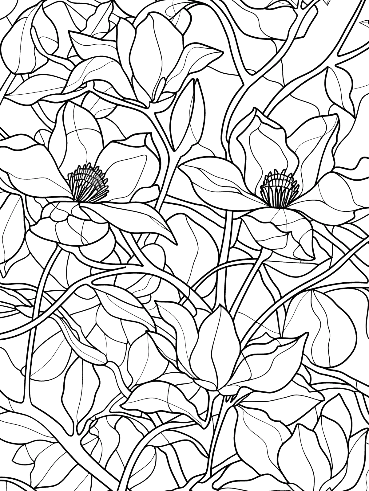 25 Beautiful Flower Coloring Pages - Brighter Craft