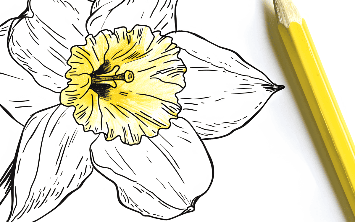 30 Captivating Spring Flower Coloring Pages - Brighter Craft