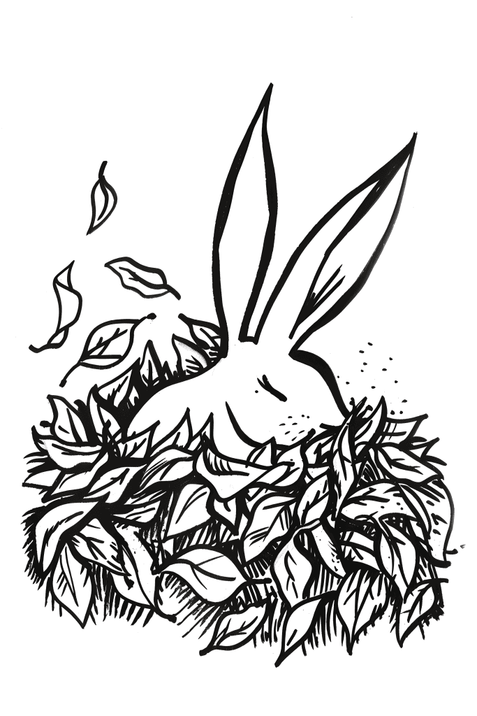 30 Adorable Rabbit Doodle Drawing Ideas - Brighter Craft