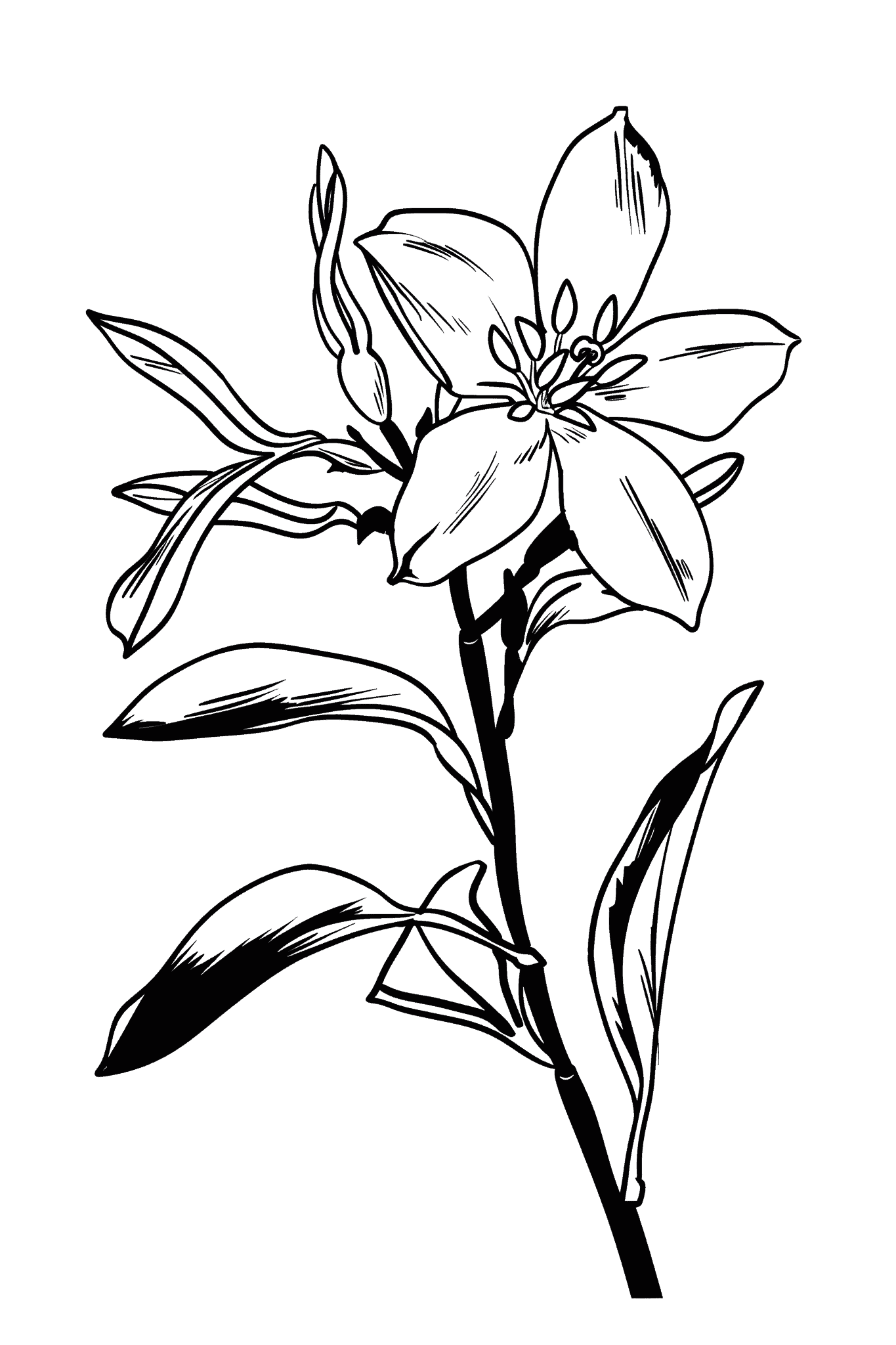 30 Spring Flower Doodle Ideas - Brighter Craft