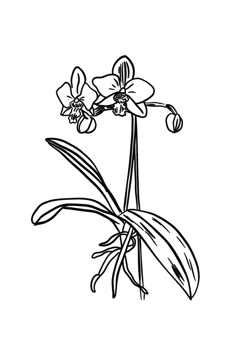 30 Spring Flower Doodle Ideas - Brighter Craft