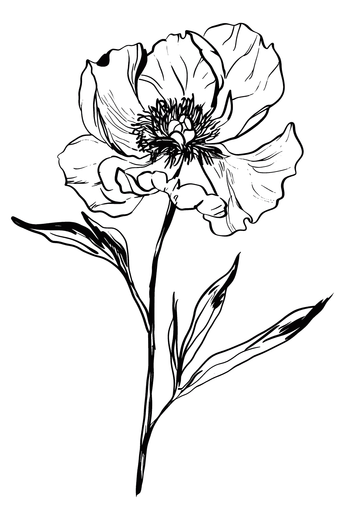 30 Spring Flower Doodle Ideas - Brighter Craft