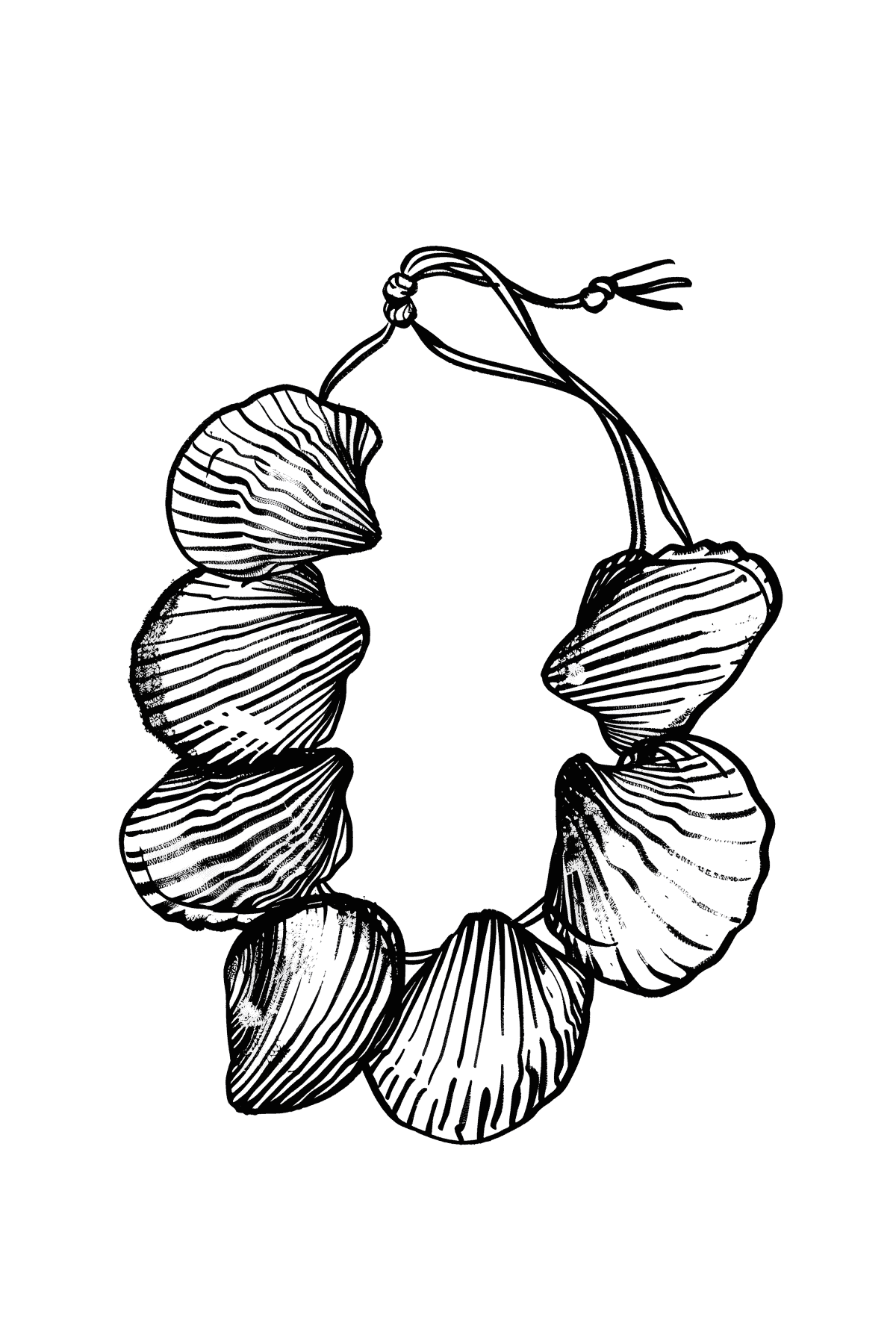 30 Simple Sea Shell Drawing Ideas - Brighter Craft
