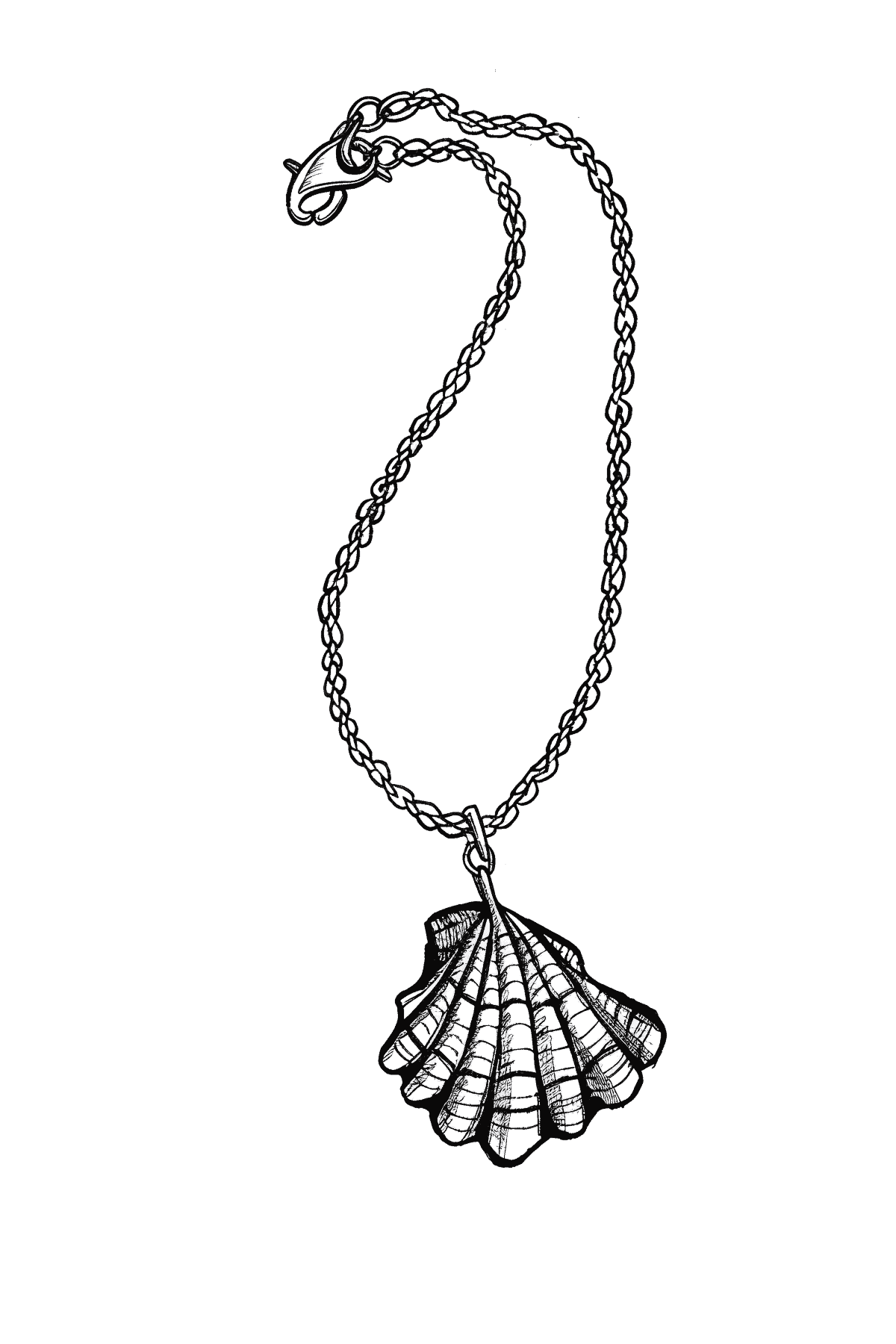 30 Simple Sea Shell Drawing Ideas - Brighter Craft