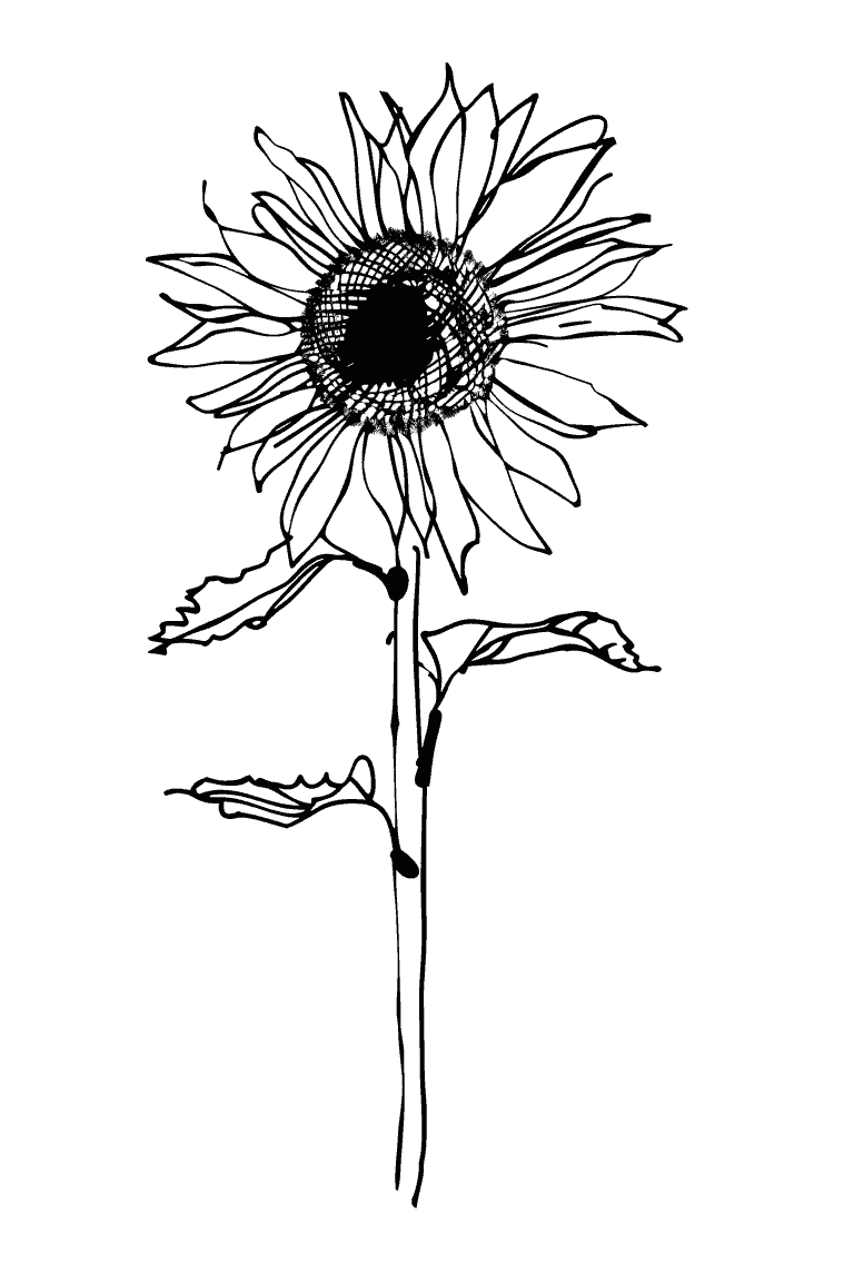 30 Spring Flower Doodle Ideas - Brighter Craft