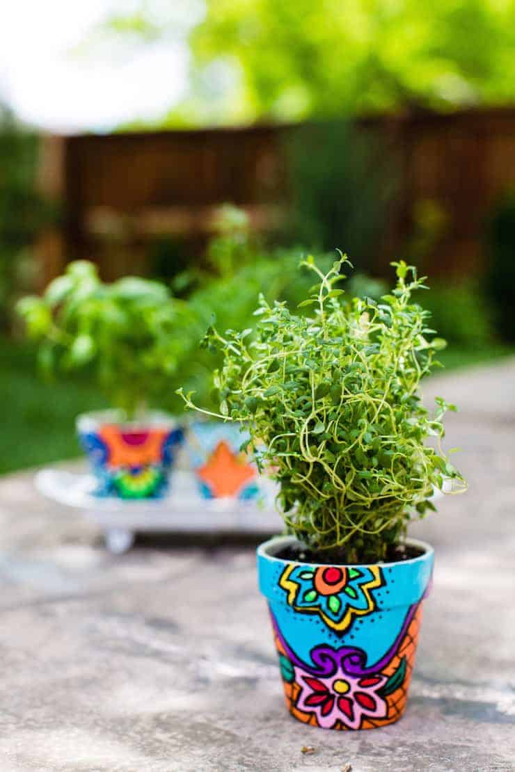 40 Creative DIY Painted Pots Ideas - Brighter Craft