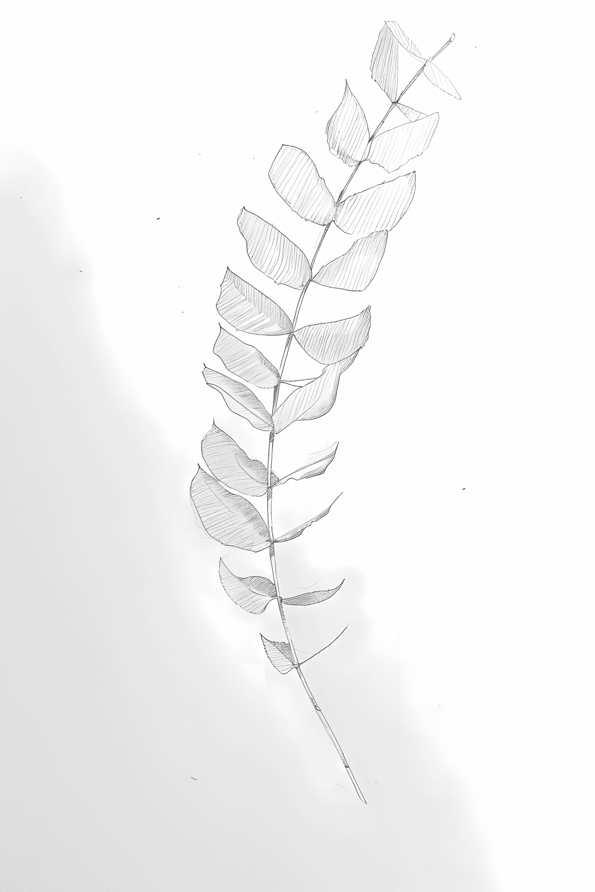 30 Botanical Leaf Drawing Ideas - Brighter Craft