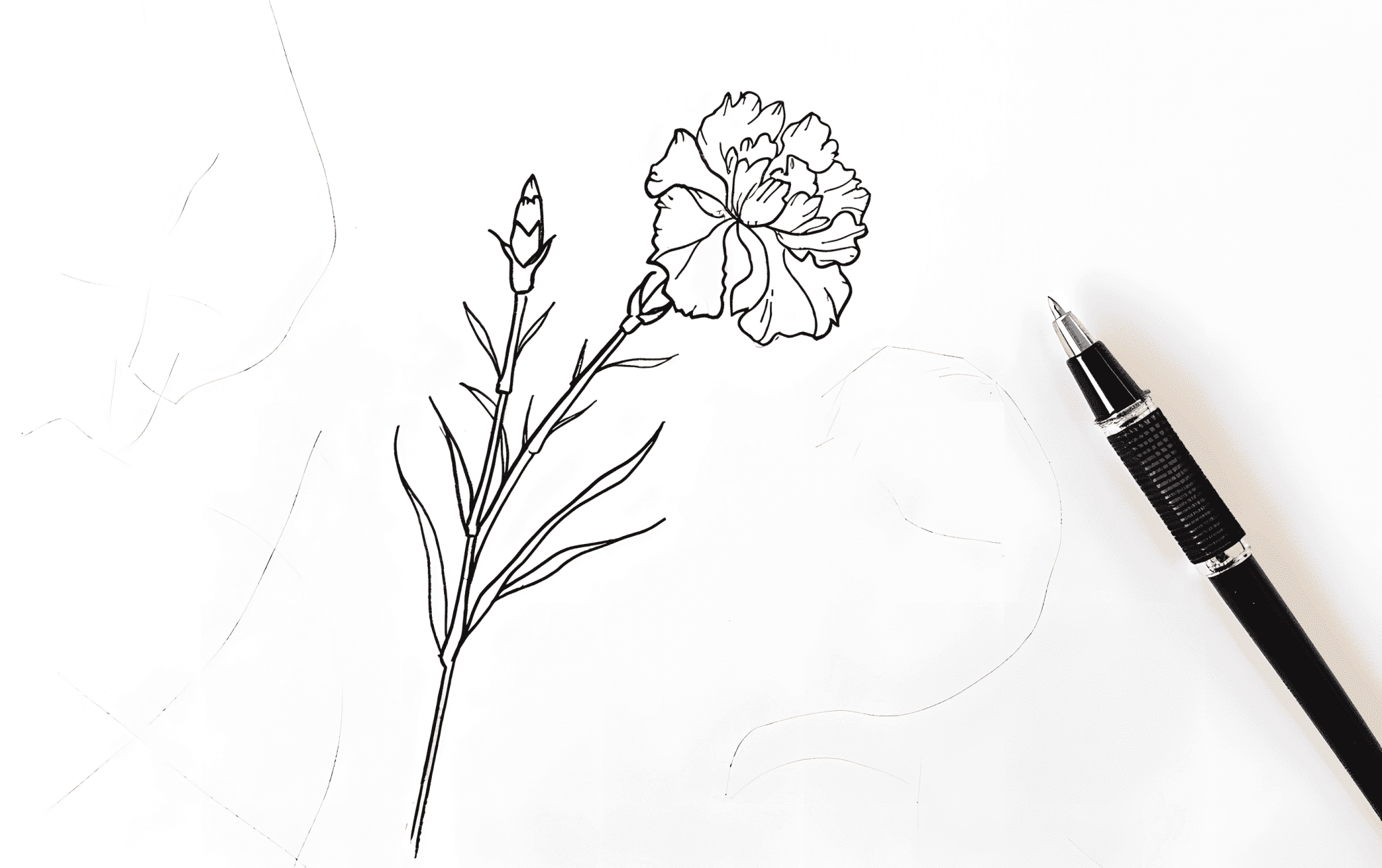 30 Fun & Easy Plant Doodle Drawings - Brighter Craft