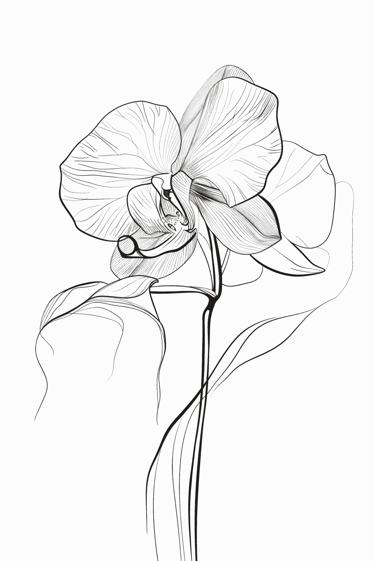 25 Flower Line Drawing Ideas and Tutorials for All Skill Levels ...