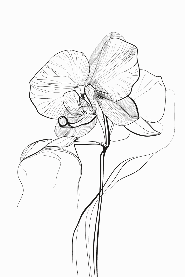25 Flower Line Drawing Ideas and Tutorials for All Skill Levels ...