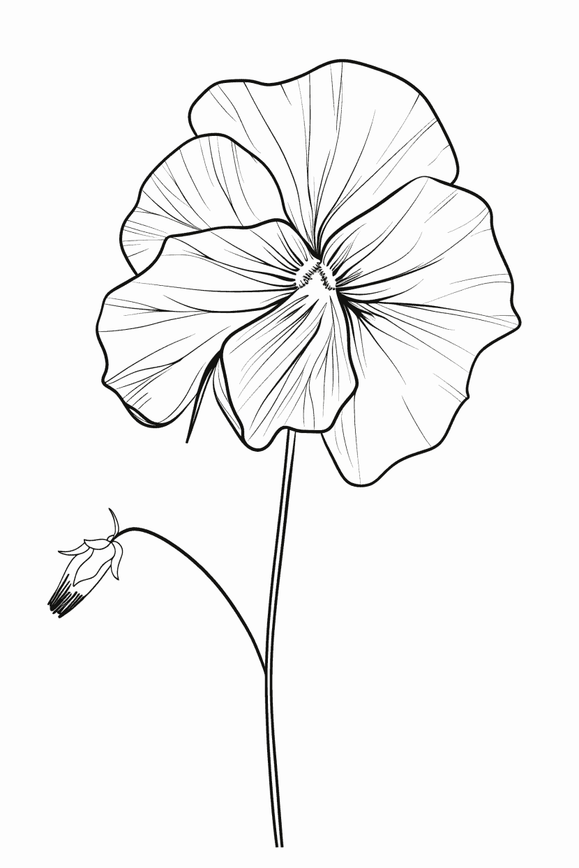 25 Flower Line Drawing Ideas and Tutorials for All Skill Levels ...