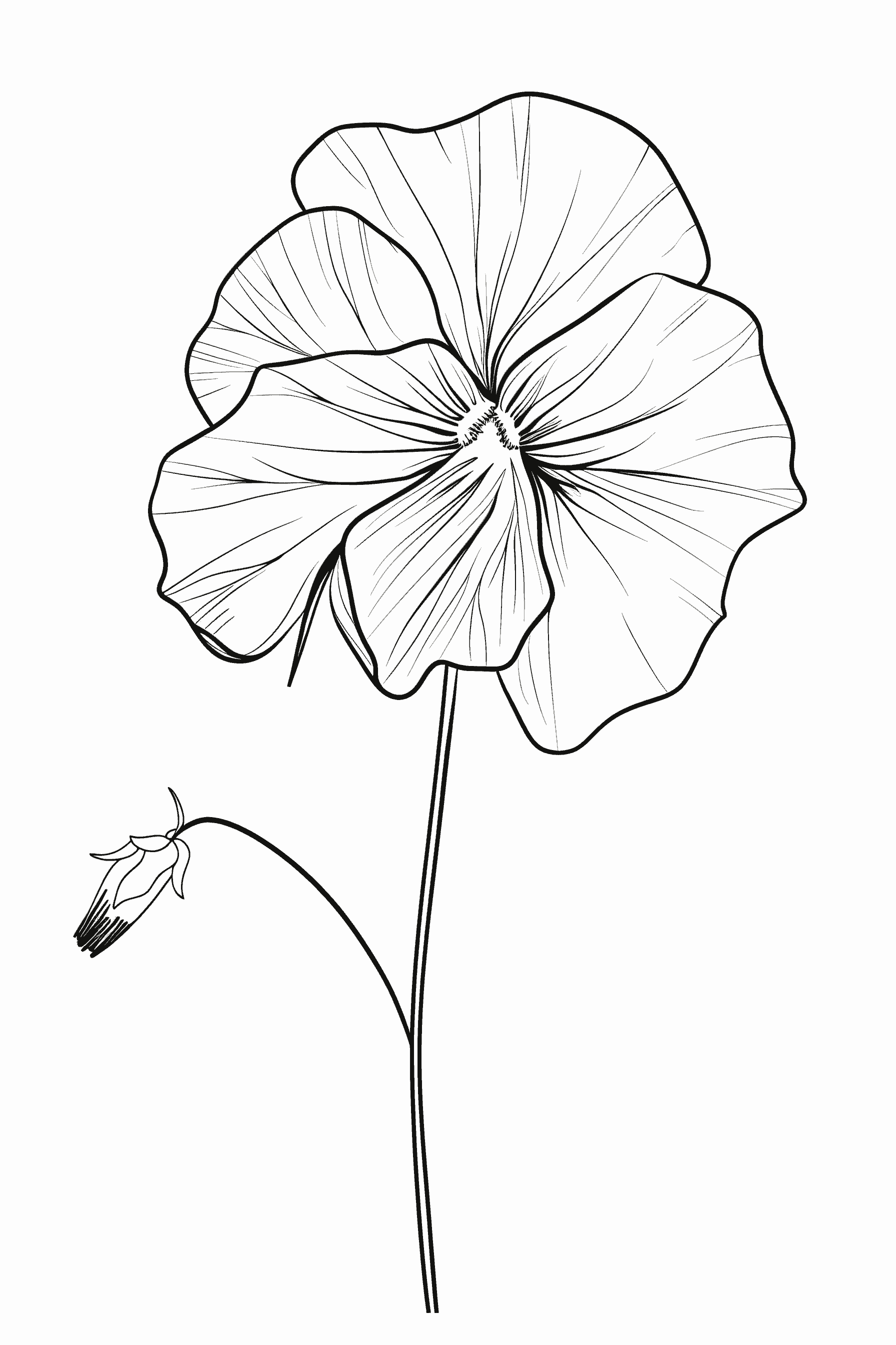 25 Flower Line Drawing Ideas and Tutorials for All Skill Levels ...