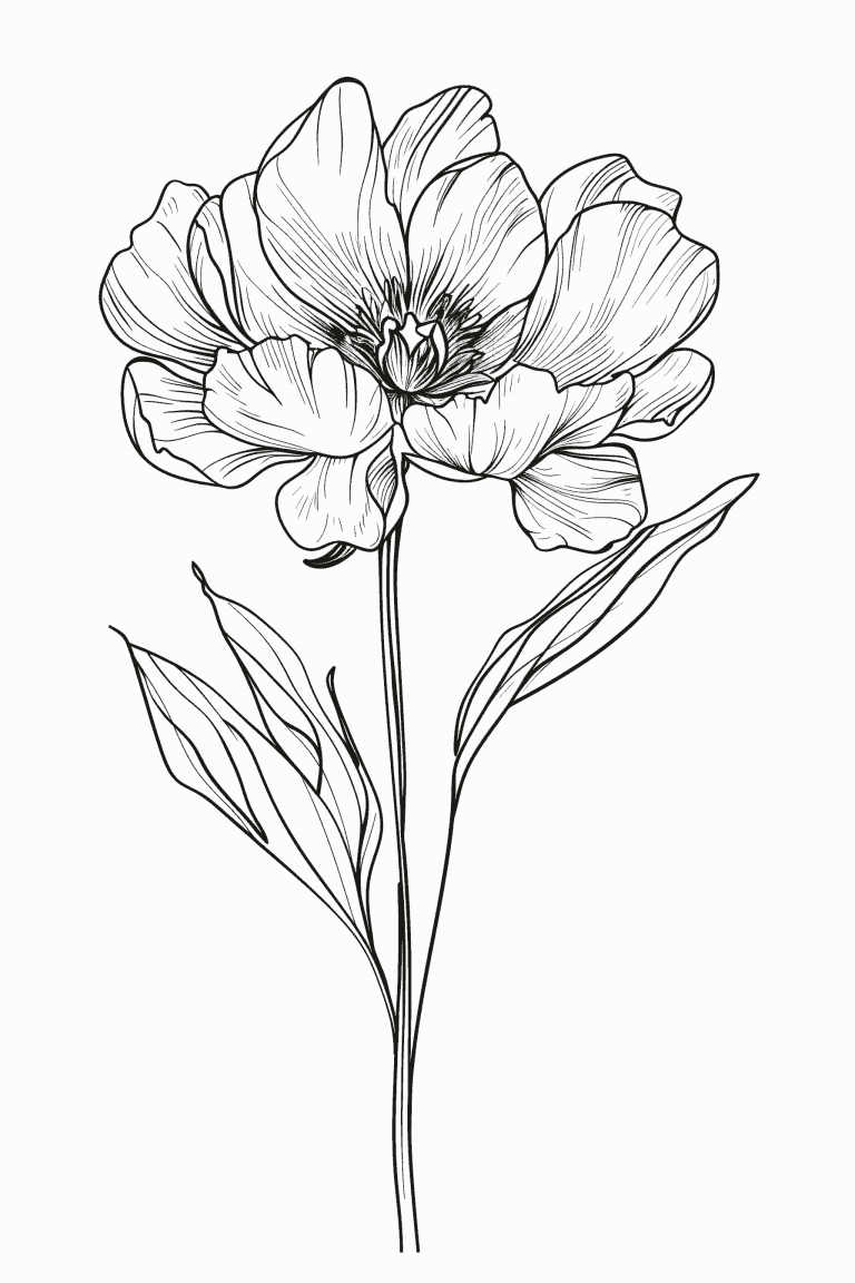 25 Flower Line Drawing Ideas and Tutorials for All Skill Levels ...