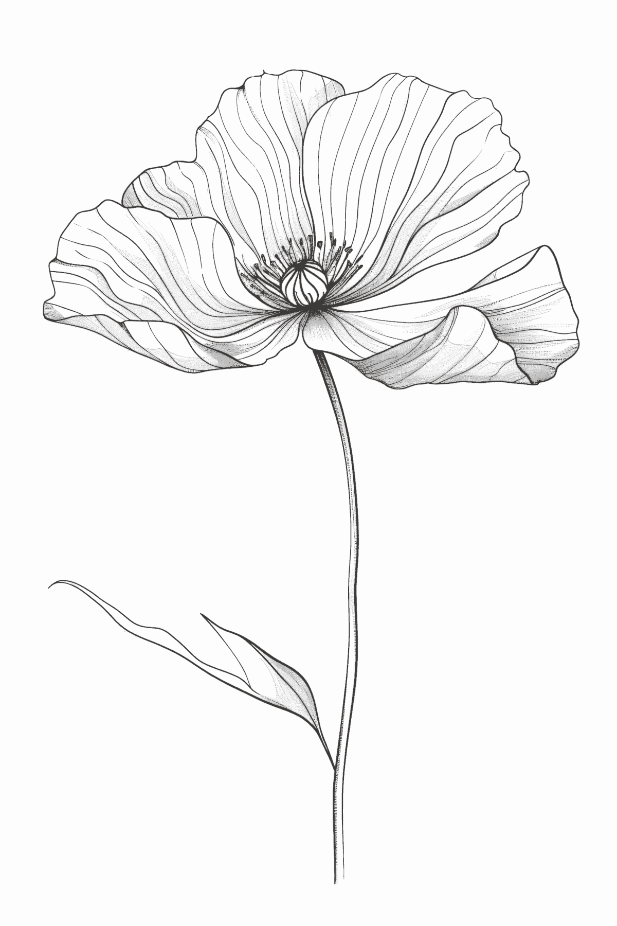 25 Flower Line Drawing Ideas and Tutorials for All Skill Levels ...