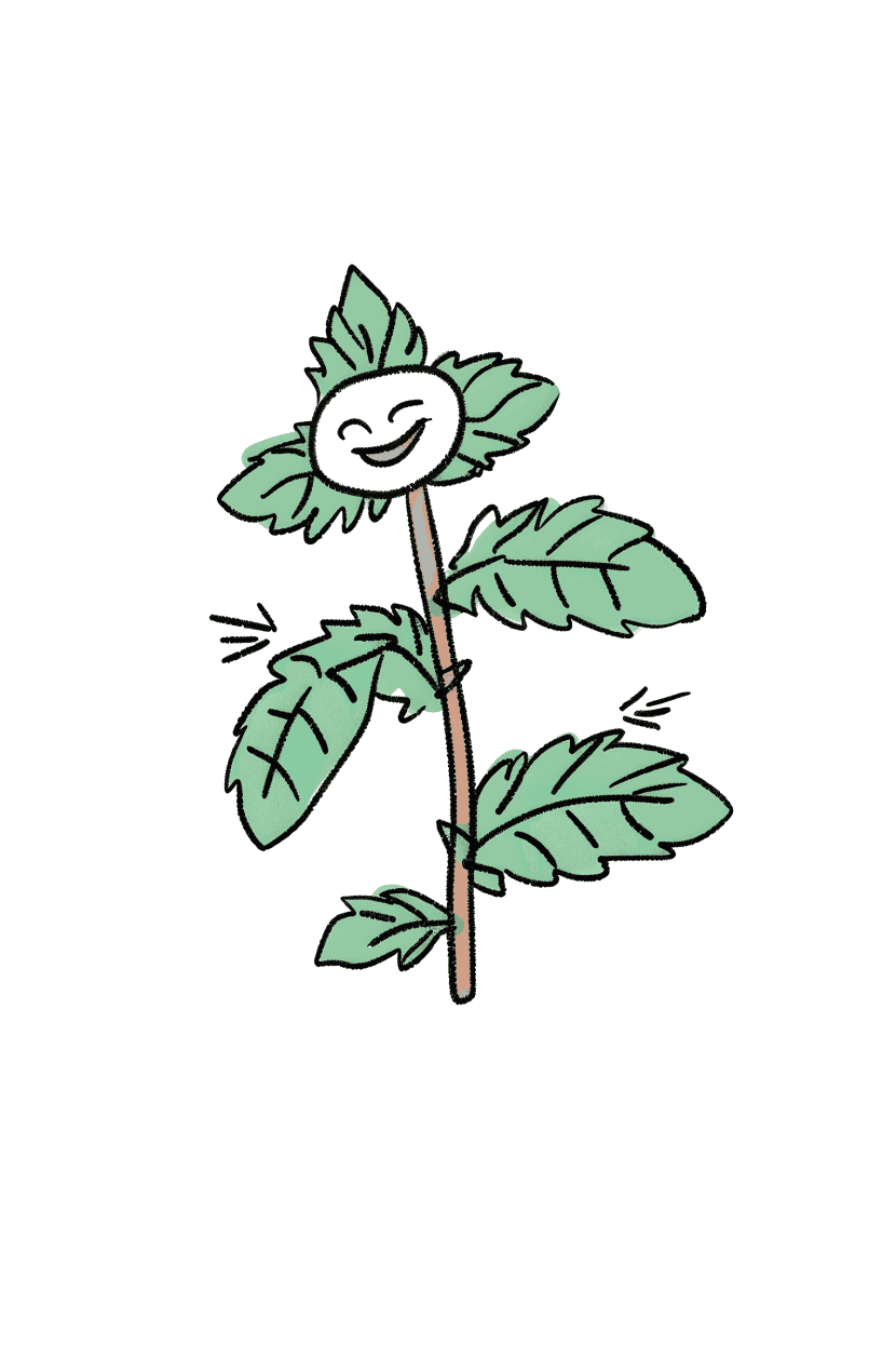 30 Fun & Easy Plant Doodle Drawings - Brighter Craft