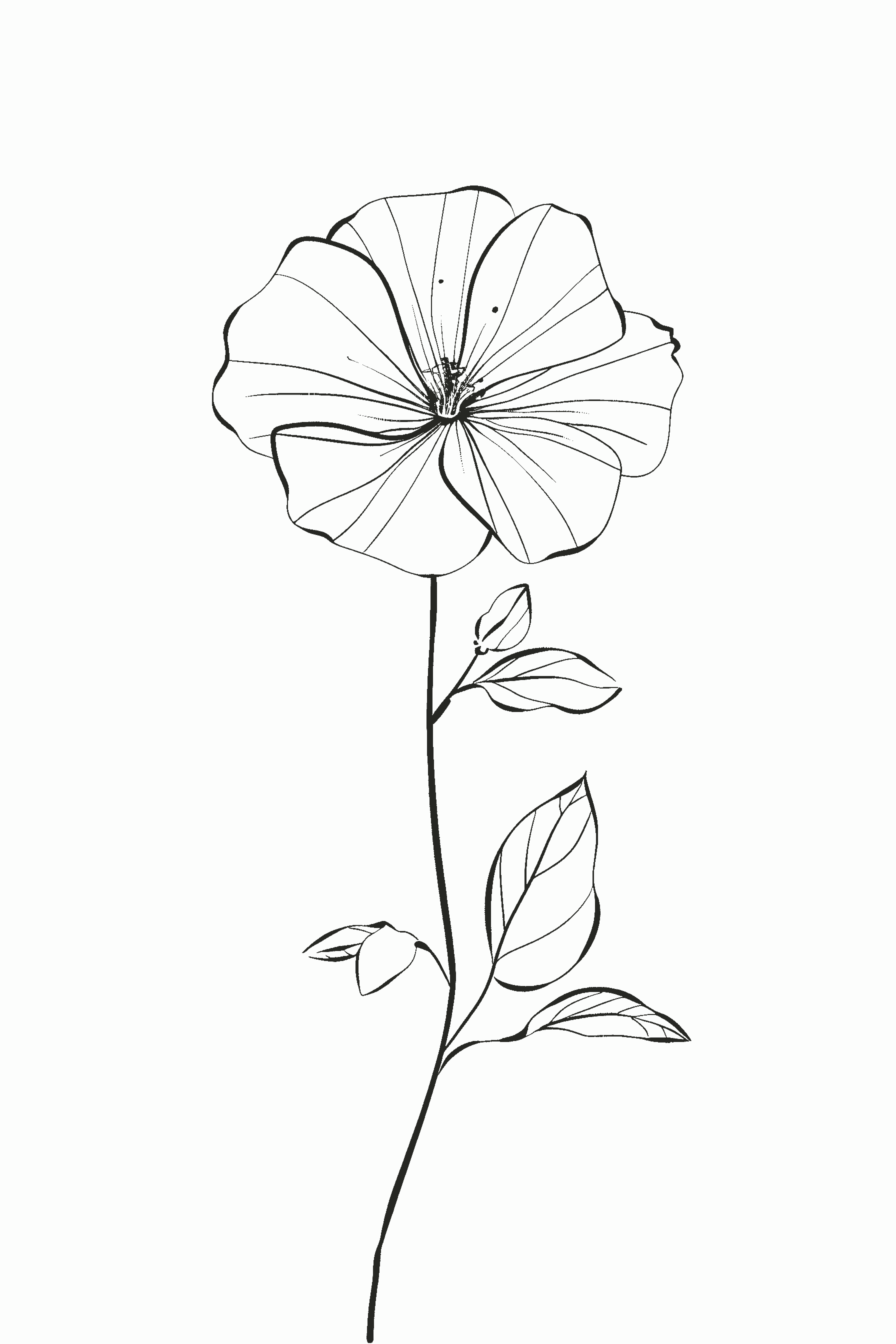 25 Flower Line Drawing Ideas and Tutorials for All Skill Levels ...