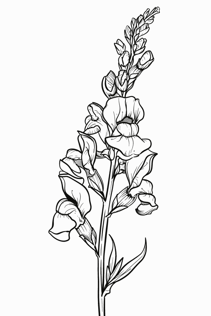 25 Flower Line Drawing Ideas and Tutorials for All Skill Levels ...