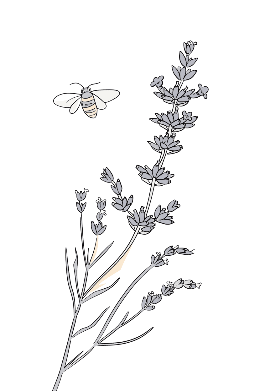 30 Fun & Easy Plant Doodle Drawings - Brighter Craft