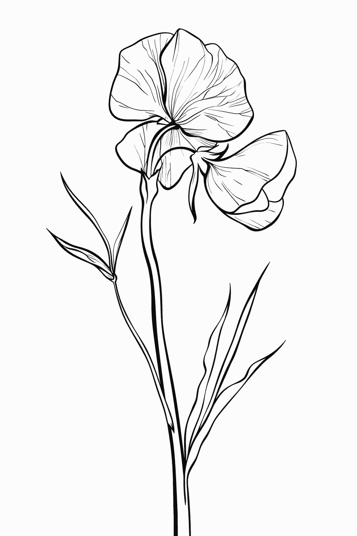25 Flower Line Drawing Ideas and Tutorials for All Skill Levels ...