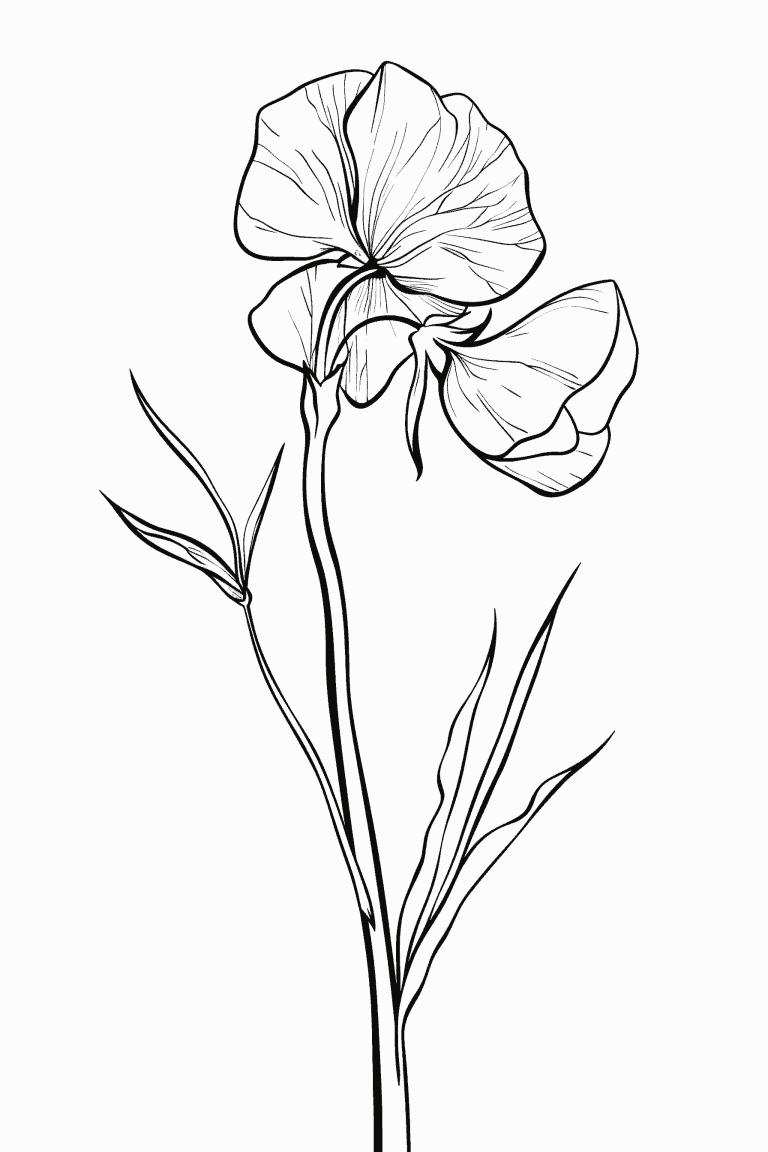 25 Flower Line Drawing Ideas and Tutorials for All Skill Levels ...
