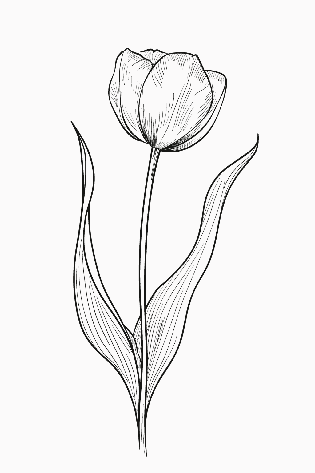25 Flower Line Drawing Ideas and Tutorials for All Skill Levels ...