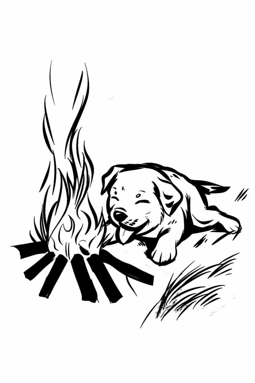 25 Cozy Campfire Doodles for Autumn-Themed Art Projects - Brighter Craft