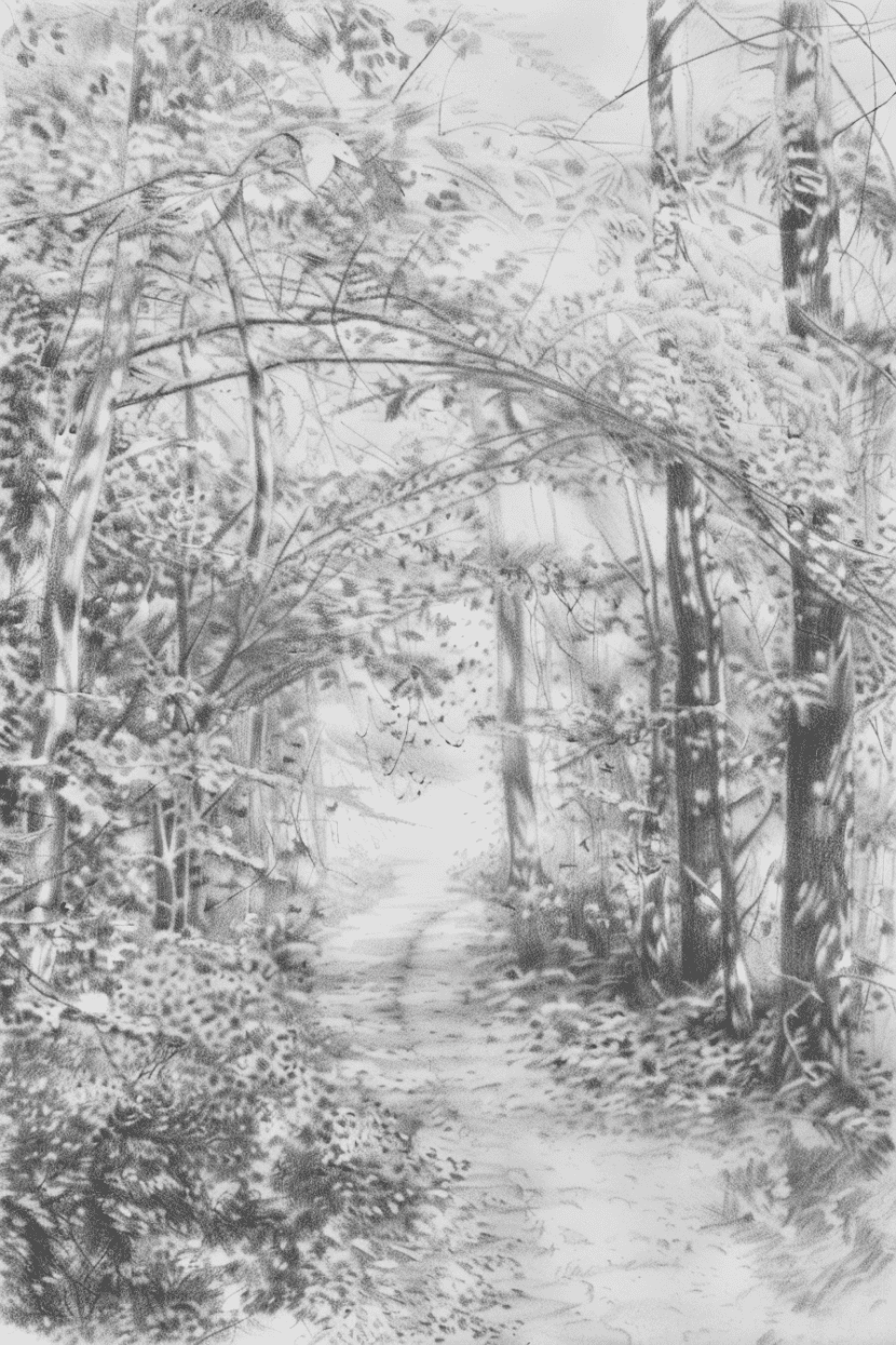 25 Tranquil Autumn Forest Sketches for Nature Lovers - Brighter Craft