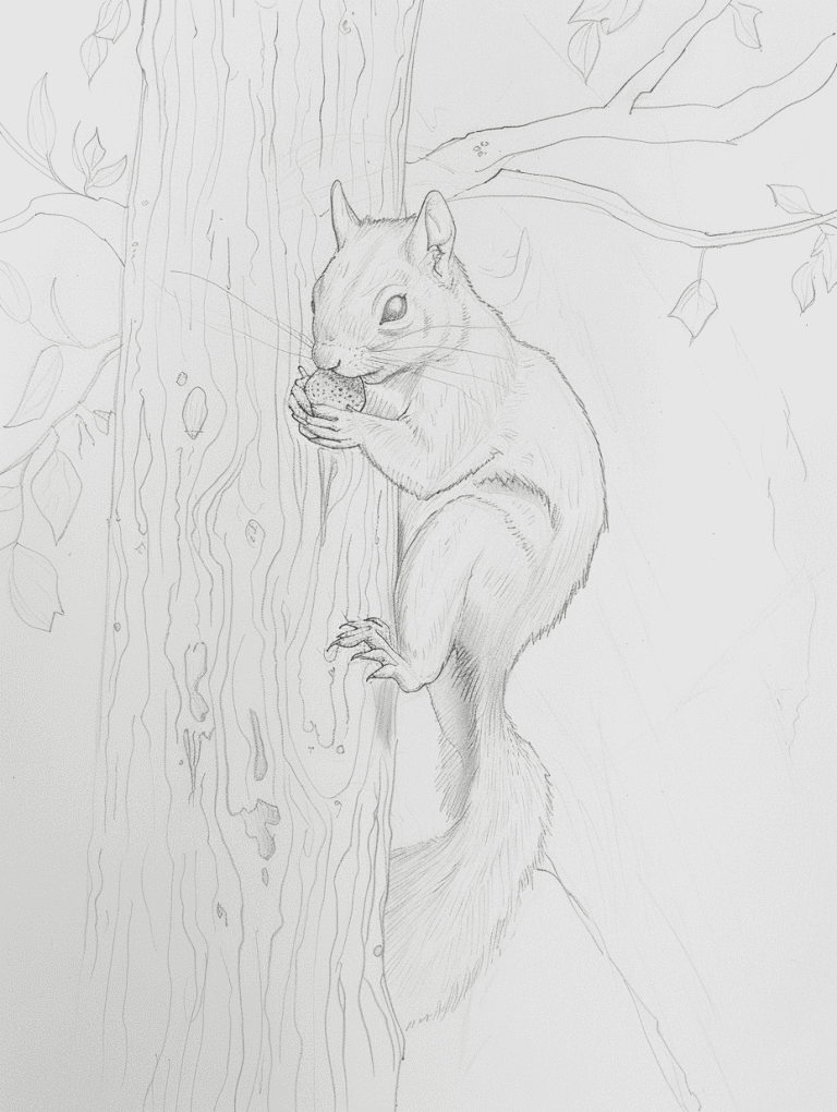 25 Easy Autumn Drawing Tutorials for Beginners - Brighter Craft