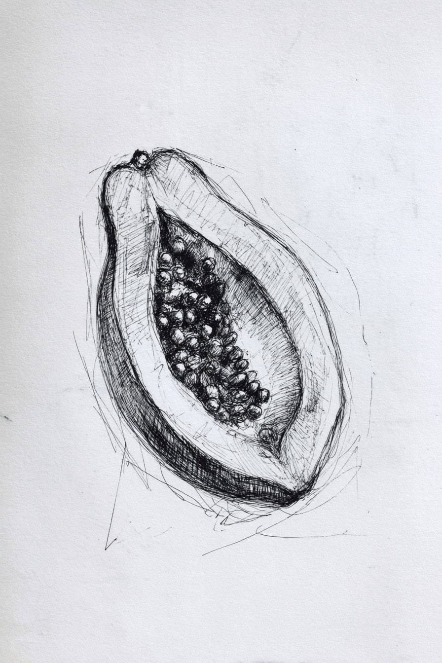 25 Easy Tropical Fruit Drawing Ideas for Your Sketchbook - Brighter Craft