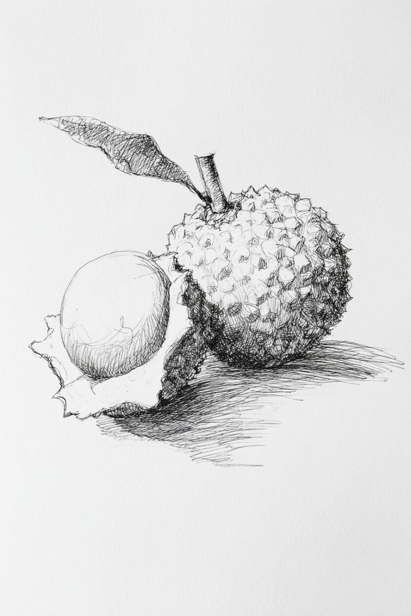 25 Easy Tropical Fruit Drawing Ideas for Your Sketchbook - Brighter Craft